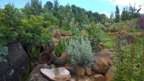World’s View – National Trust of Zimbabwe